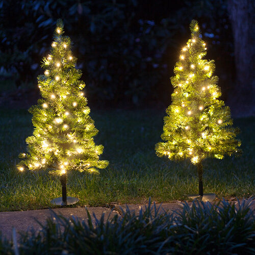 Winchester Fir Prelit Walkway Tree - Wintergreen Corporation