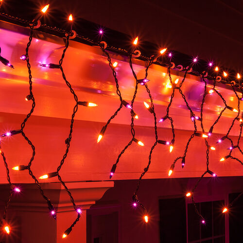 Purple, Orange Mini Icicle Lights on Black Wire - Wintergreen ...