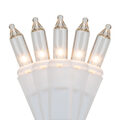 White Wire Mini Lights - Wintergreen Corporation