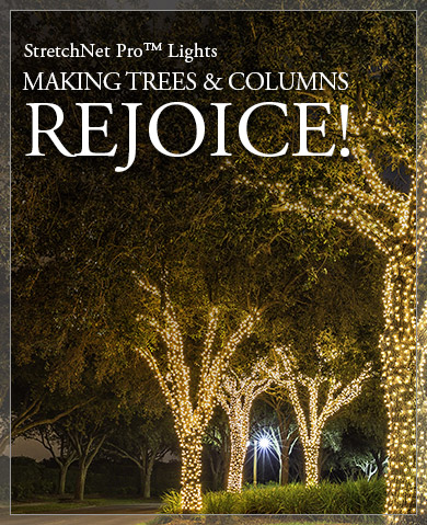 StretchNet Pro™ Net Lights - Wintergreen Corporation